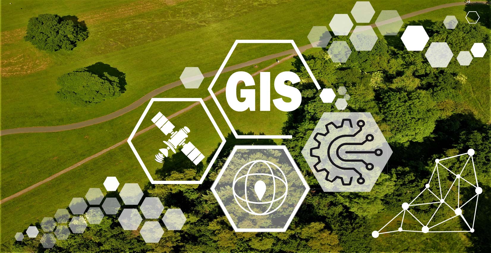 Work with us: » Barrell Tree Consultancy | UK Consultants and Expert ...